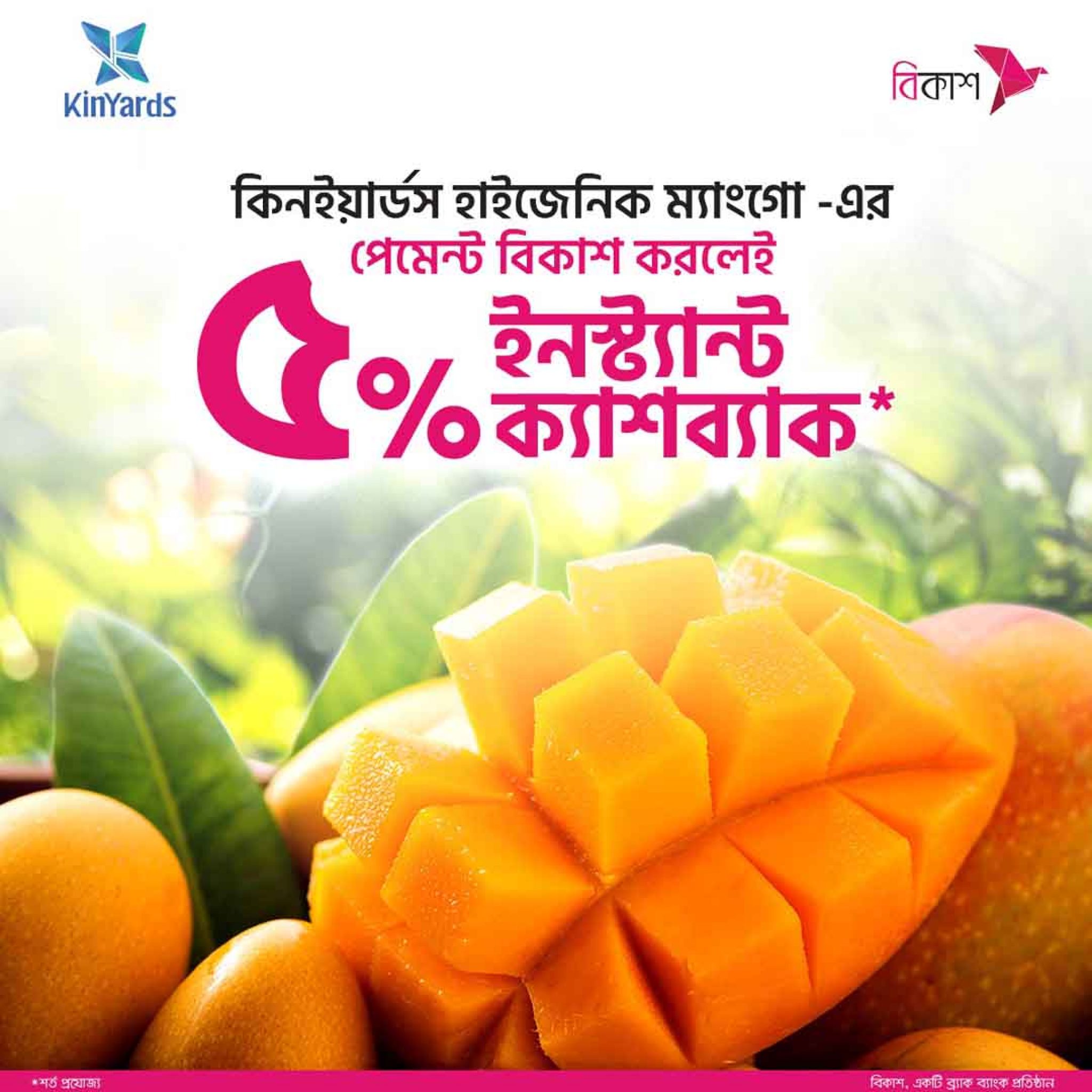 আম - Mango - Price - Deal - Offer - Bangladesh - দাম